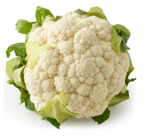 Jann Wenner’s Back Pages: Memoirs of a Rolling Stone Groupie – Dean Goodman